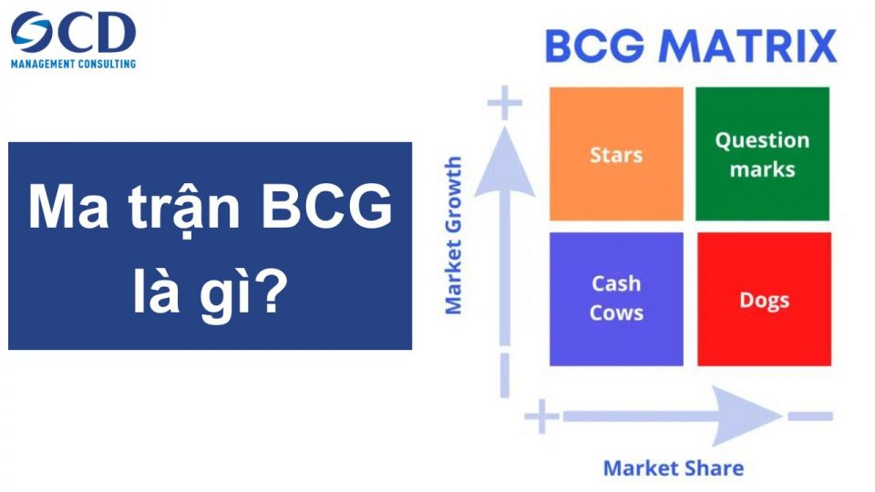 Ma trận BCG là gì? Cách dùng và ví dụ minh họa dễ hiểu - Công ty Tư vấn Quản lý OCD