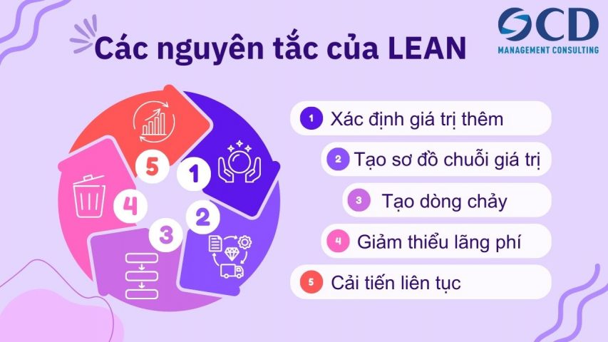 Mô hình Lean Six Sigma là gì? Lợi ích và ứng dụng - Công ty OCD