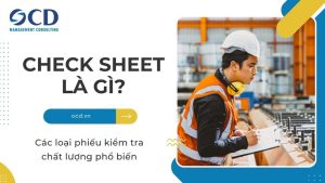 Check sheet là gì? Các loại phiếu kiểm tra chất lượng phổ biến - Công ...