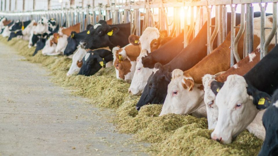 DOE (Design of Experiments) là gì? Ví dụ và các bước thực hiện - Công ...