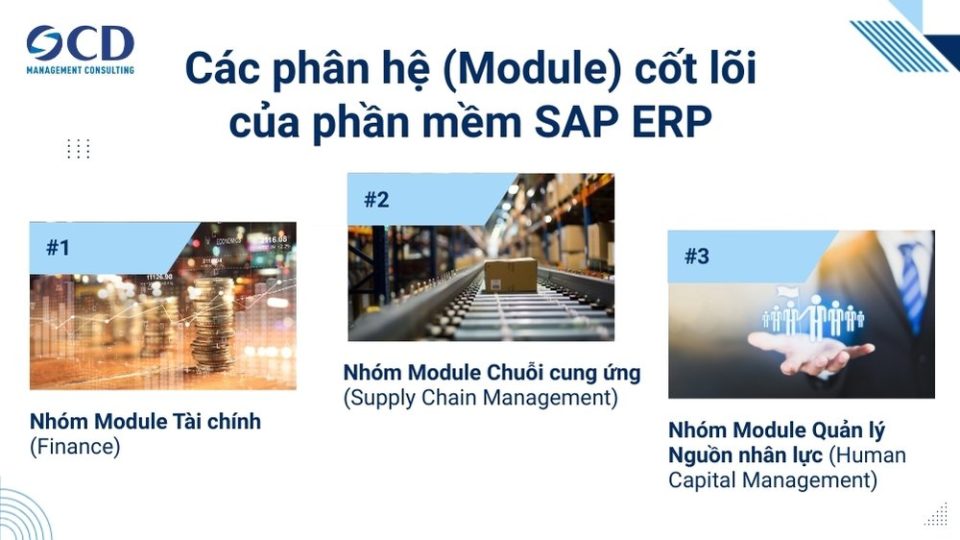 Phần mềm SAP ERP: "Hệ thần kinh trung ương" của doanh nghiệp hiện đại ...