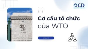 Cơ cấu tổ chức của WTO: Tấm bản đồ quyền lực định hình thương mại toàn cầu - Công ty Tư vấn Quản ...